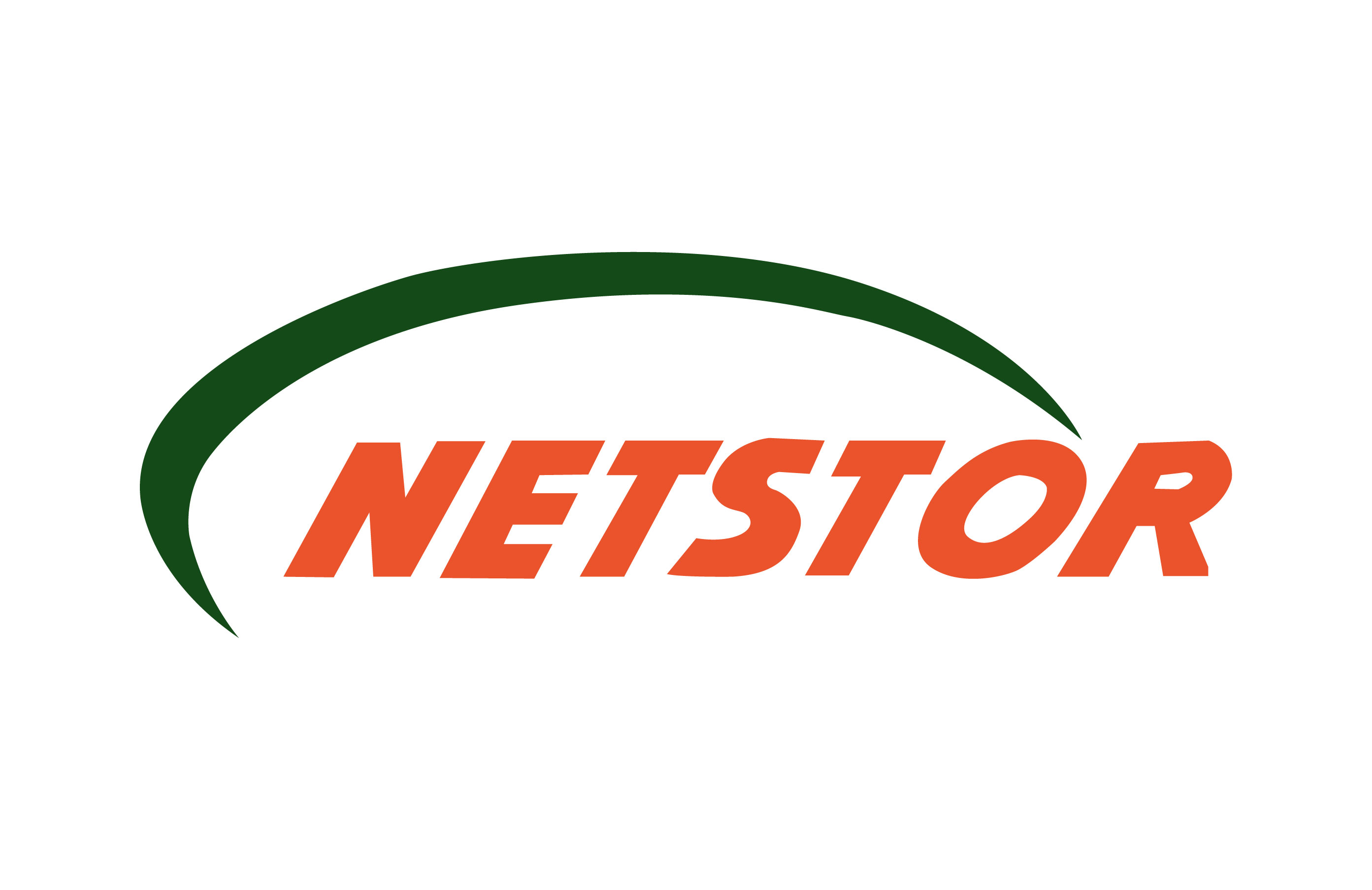 Netstor-_LOGO – NAS Compares