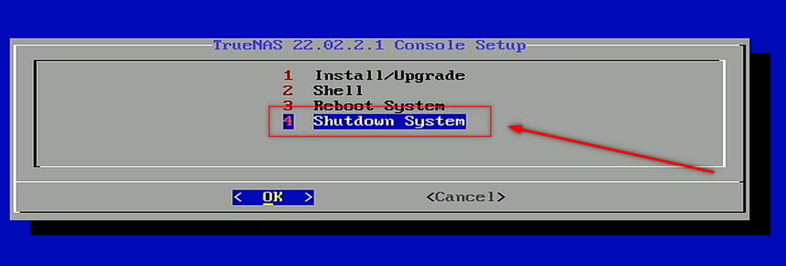 How to Install TrueNAS Scale on a Terramaster NAS – NAS Compares